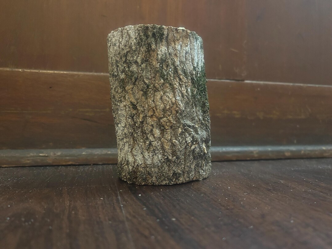 4 X 6 Green Box Elder Log for Woodworking, Carving, Turning Wax-dipped ...