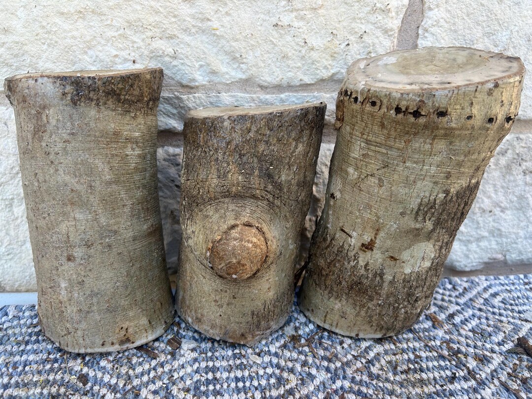 Umbrella Magnolia Logs for Wood Carving 6-8x 4.5 Rustic & Natural Decor ...