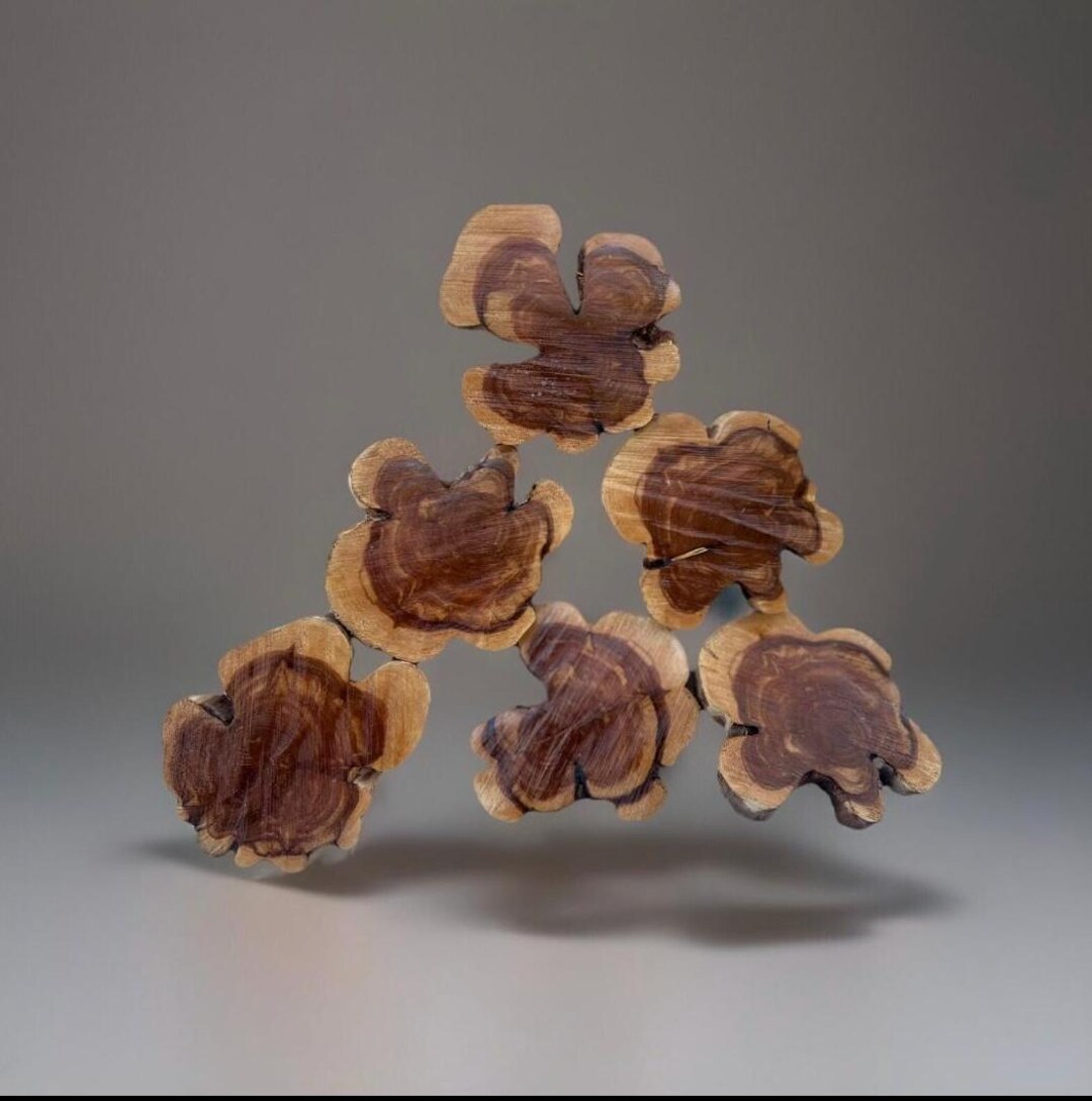 Handcrafted Ash Juniper Wall Art Slices - Set of 6 - Etsy