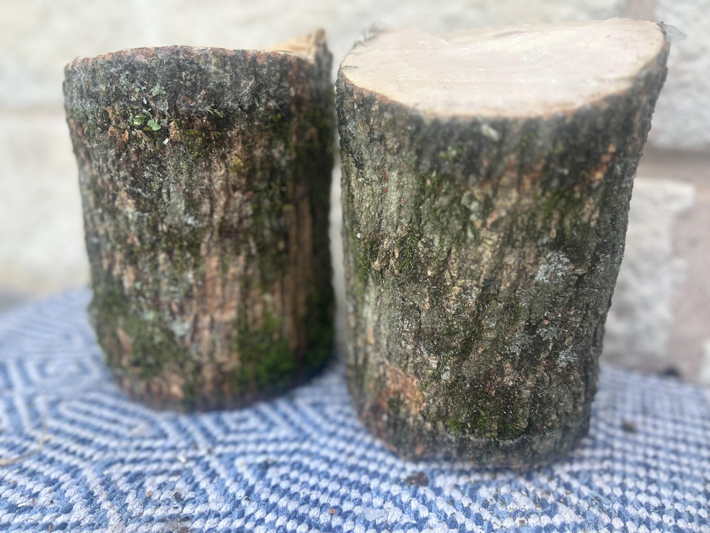Premium Trio of Green Wood Carving Logs Ash Juniper, Box Elder ...