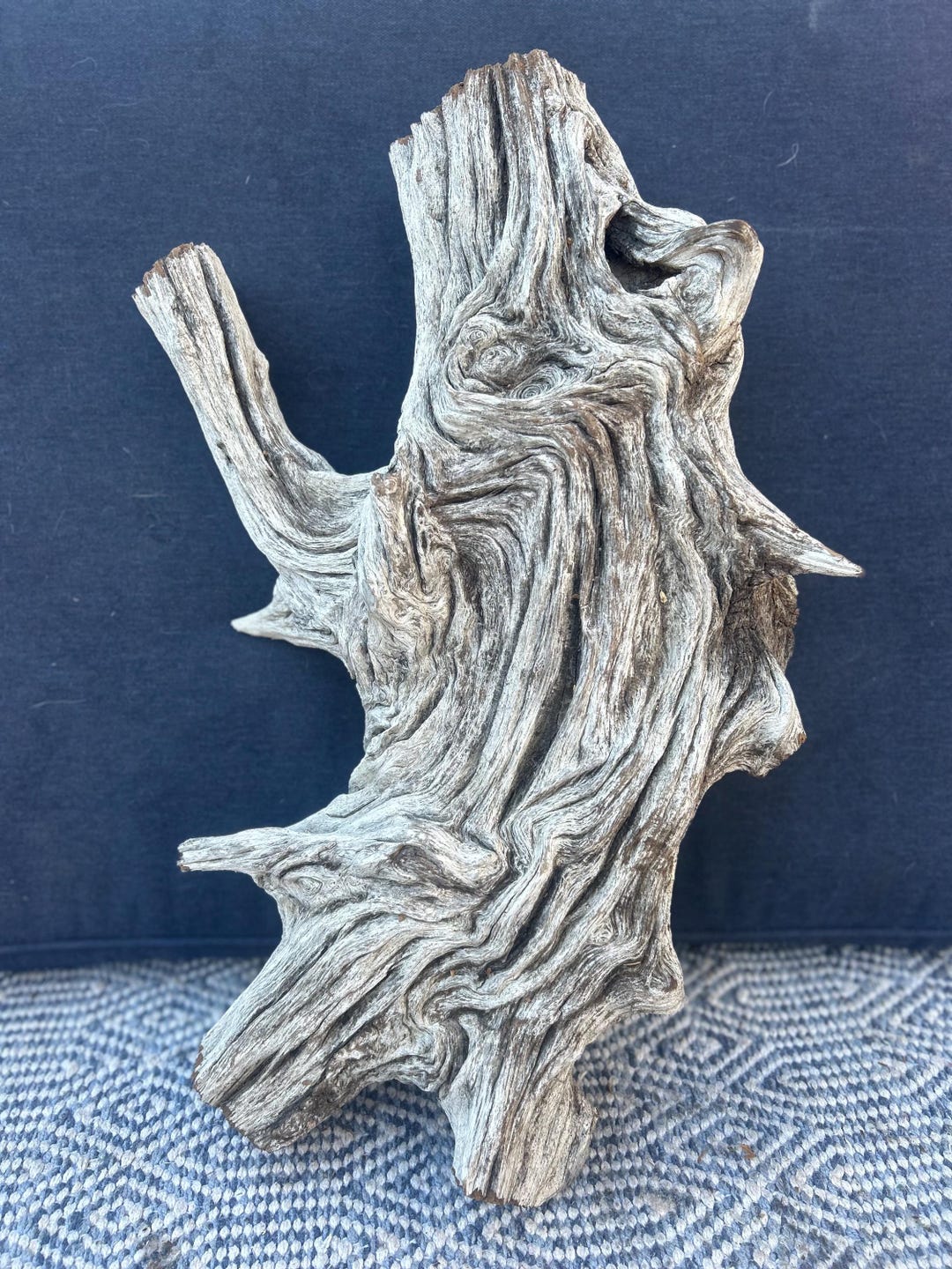 Stunning Bleached Escarpment Live Oak Driftwood - Nature's Artistry - Etsy
