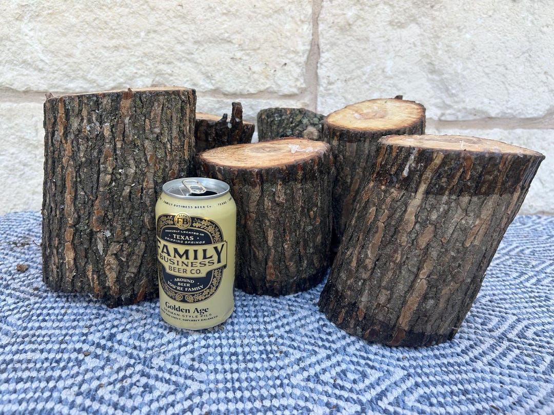 Rustic Green Elm Logs for Carving, Crafting, and Decor 5-7 High, 4.5-5 ...