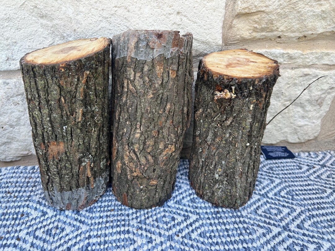 Rustic Green Elm Logs for Carving, Crafting, and Decor 8-10 High, 4.5-5 ...