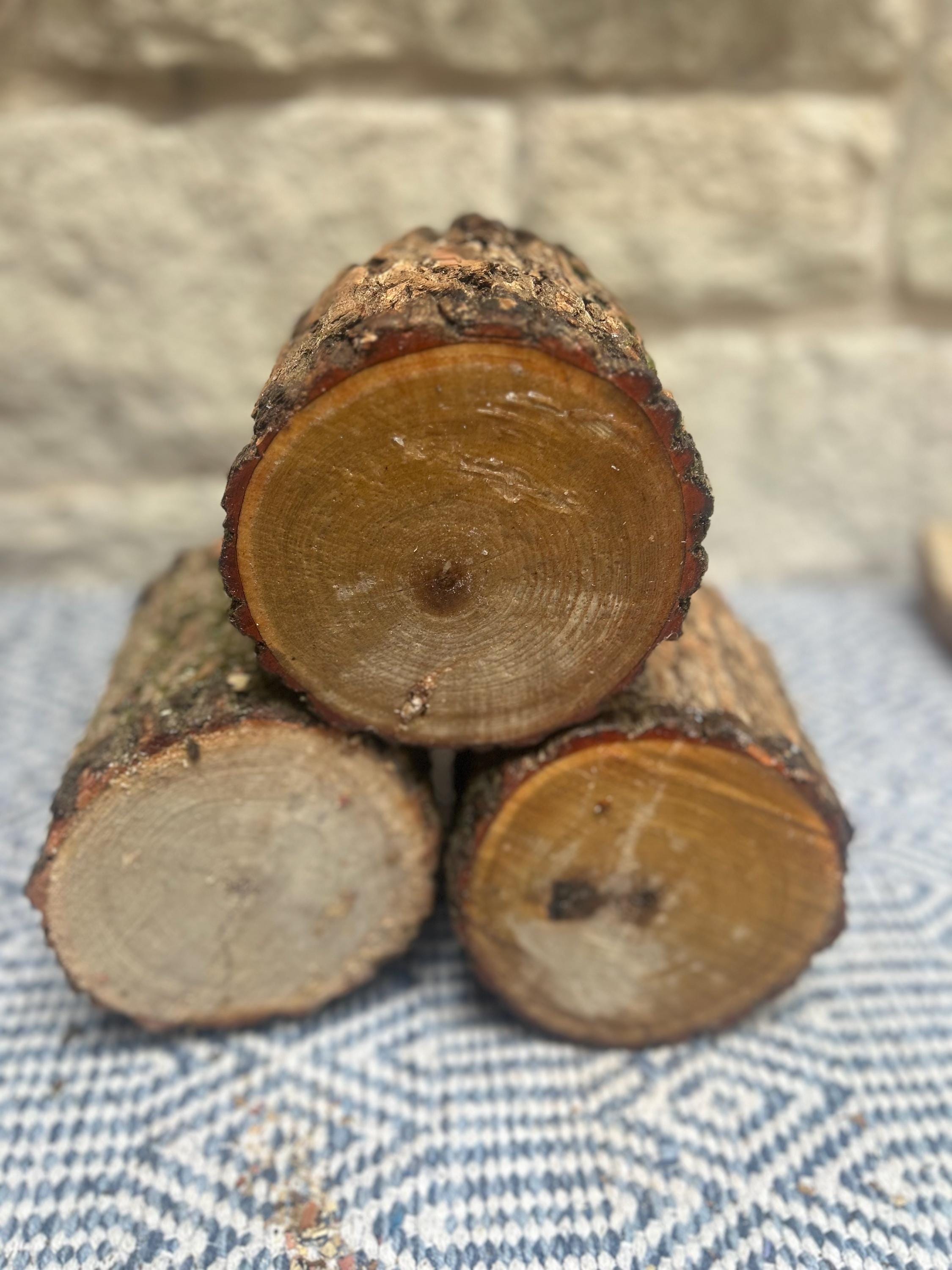 Unique Wood Log Set Sassafras, Eastern Red Cedar, Umbrella Magnolia ...