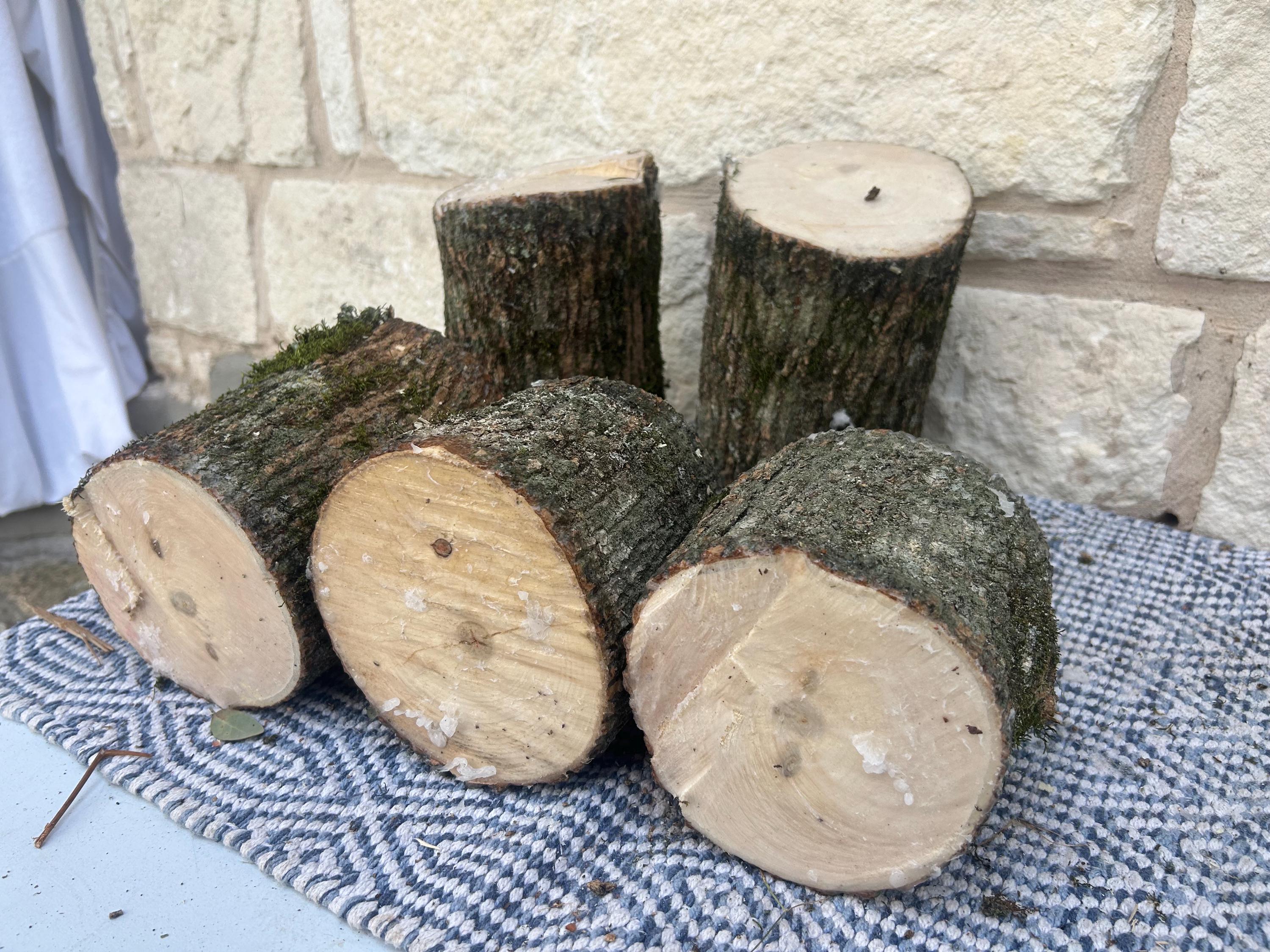 Premium Trio of Green Wood Carving Logs Ash Juniper, Box Elder ...