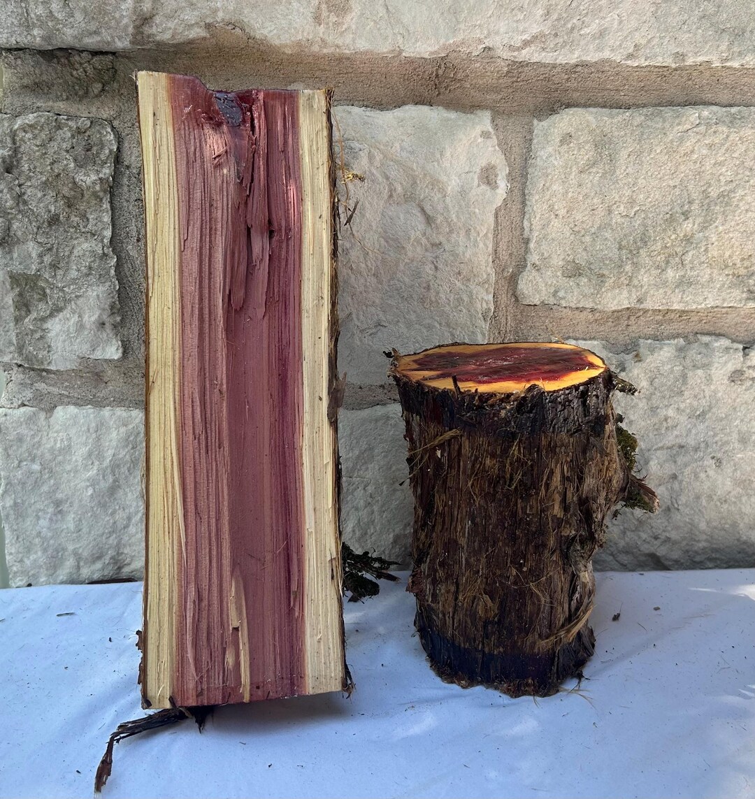 Rustic Live Edge Red Cedar Split Log 11 Long X 4 Wide and a Bonus Mini ...