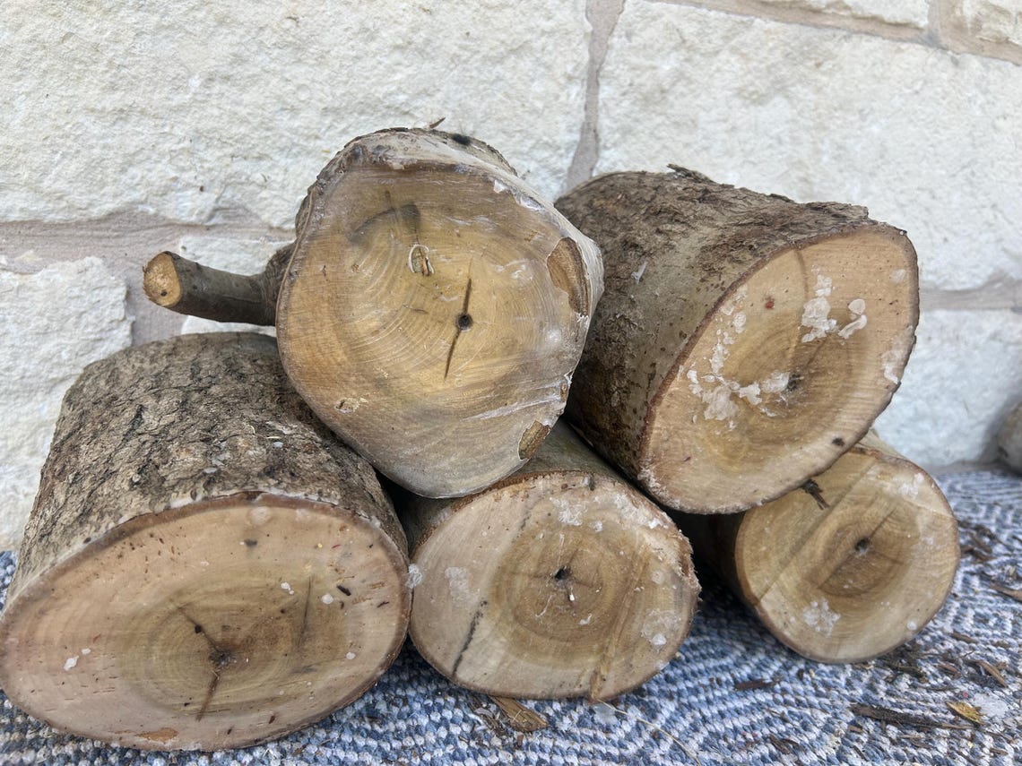 Premium Trio of Green Wood Carving Logs Ash Juniper, Box Elder ...