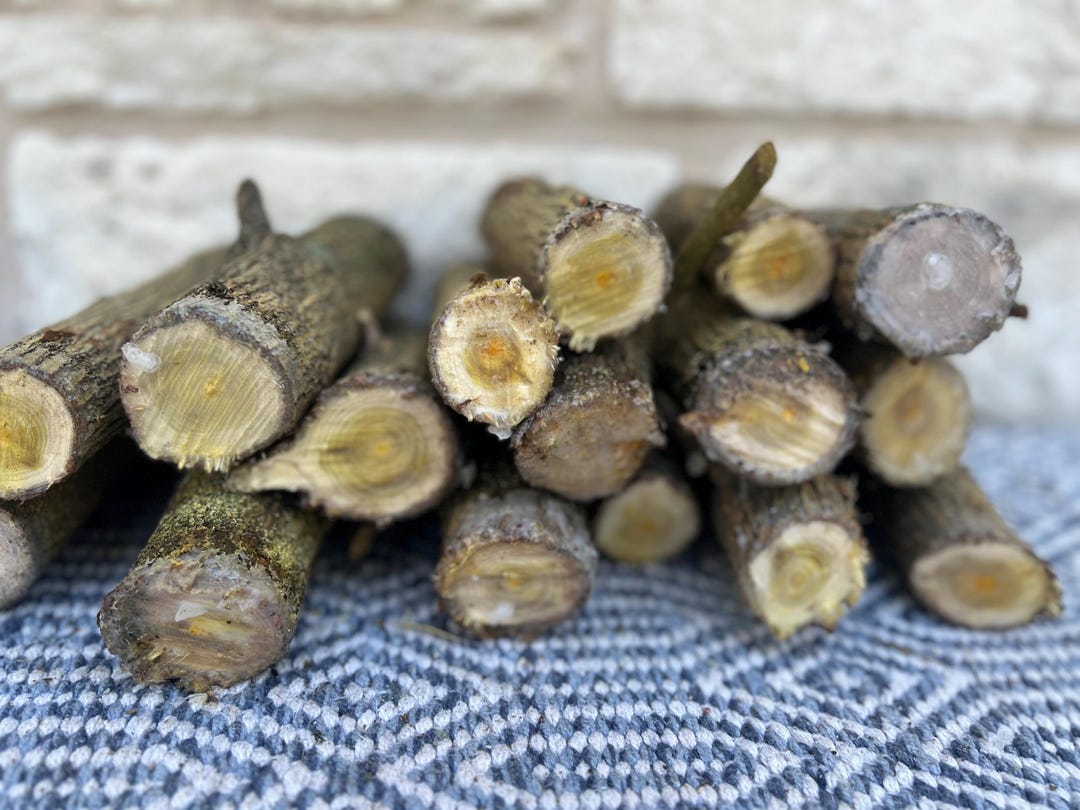 Handcrafted Bois D'arc Miniature Logs for Carving - Fresh Cut & Wax ...