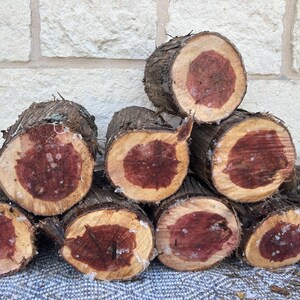 Large Cedar Logs for Carving - Etsy
