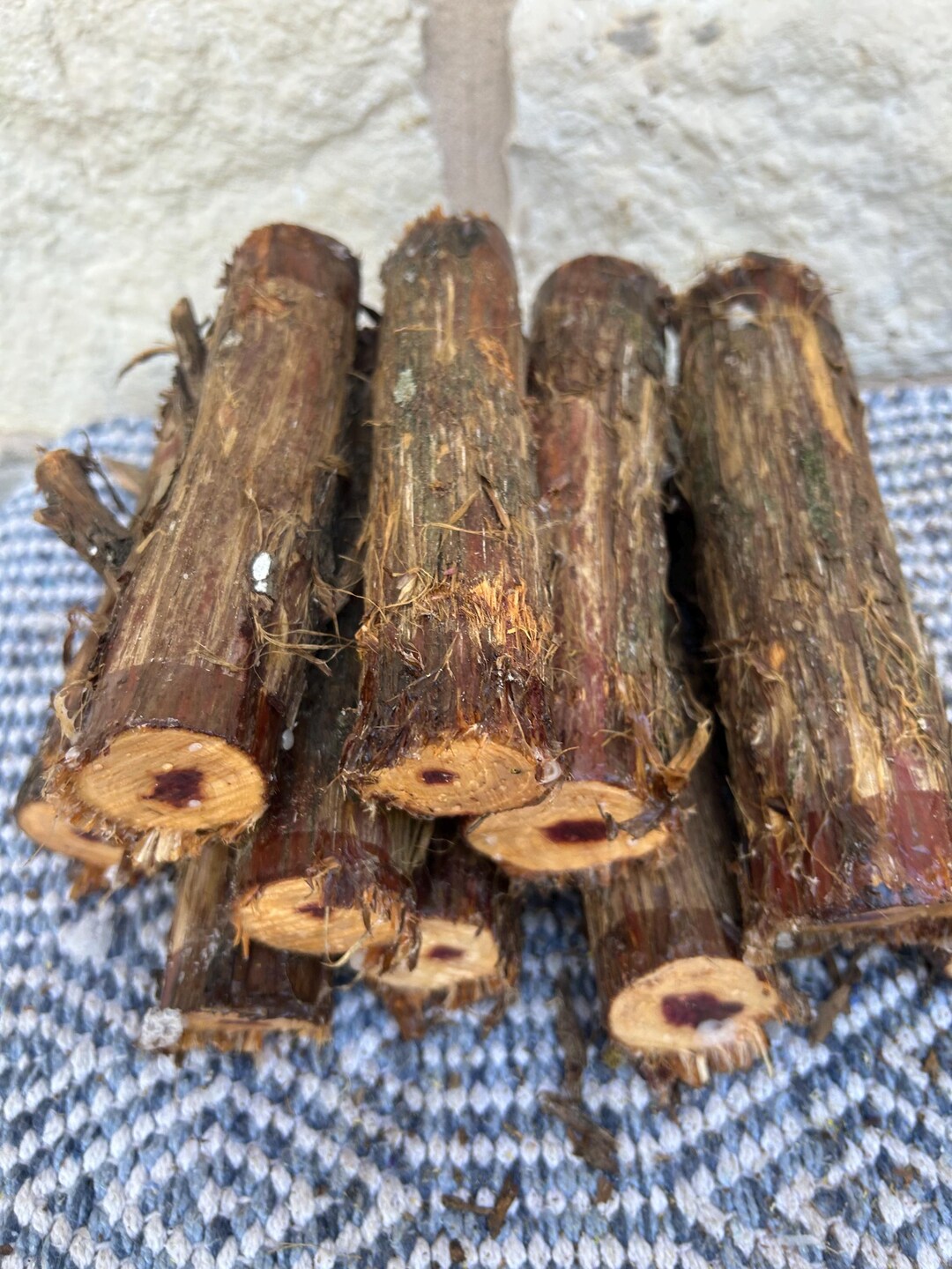 Eastern Red Cedar Miniature Logs for Artisan Carvers - Freshly Cut ...