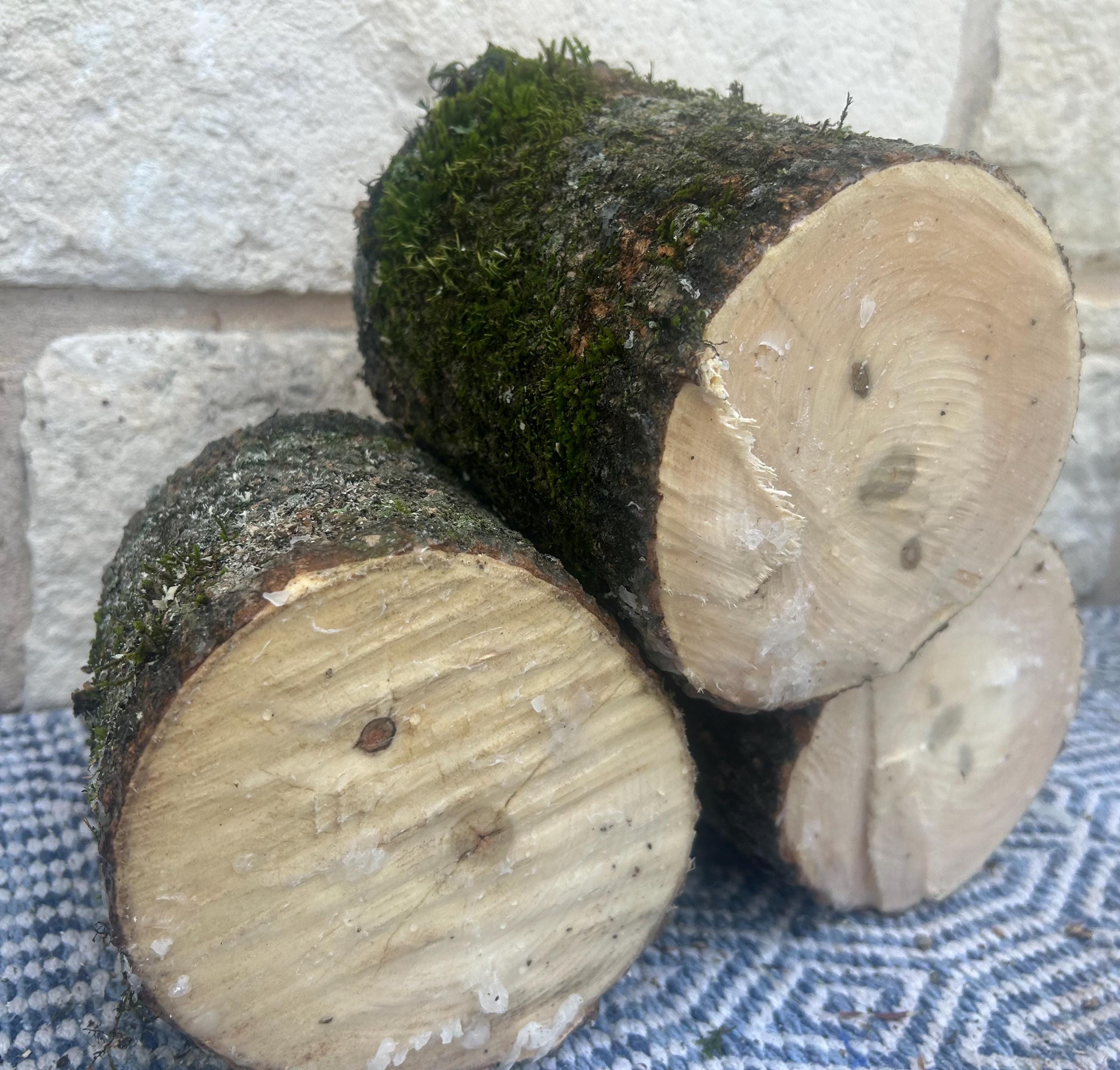 Premium Trio of Green Wood Carving Logs Ash Juniper, Box Elder ...