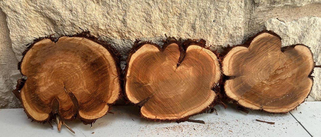 Handcrafted Set of 3 Ash Juniper Wood Cookies - Natural Wood Slices for ...