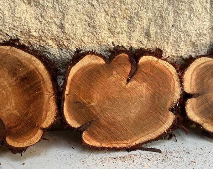 Handcrafted Set of 3 Ash Juniper Wood Cookies - Natural Wood Slices for ...