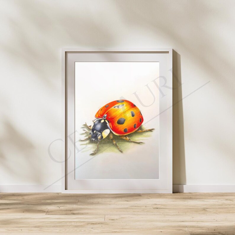 Ladybug Drawing A4 – Art Print Based on Original Illustration - Etsy