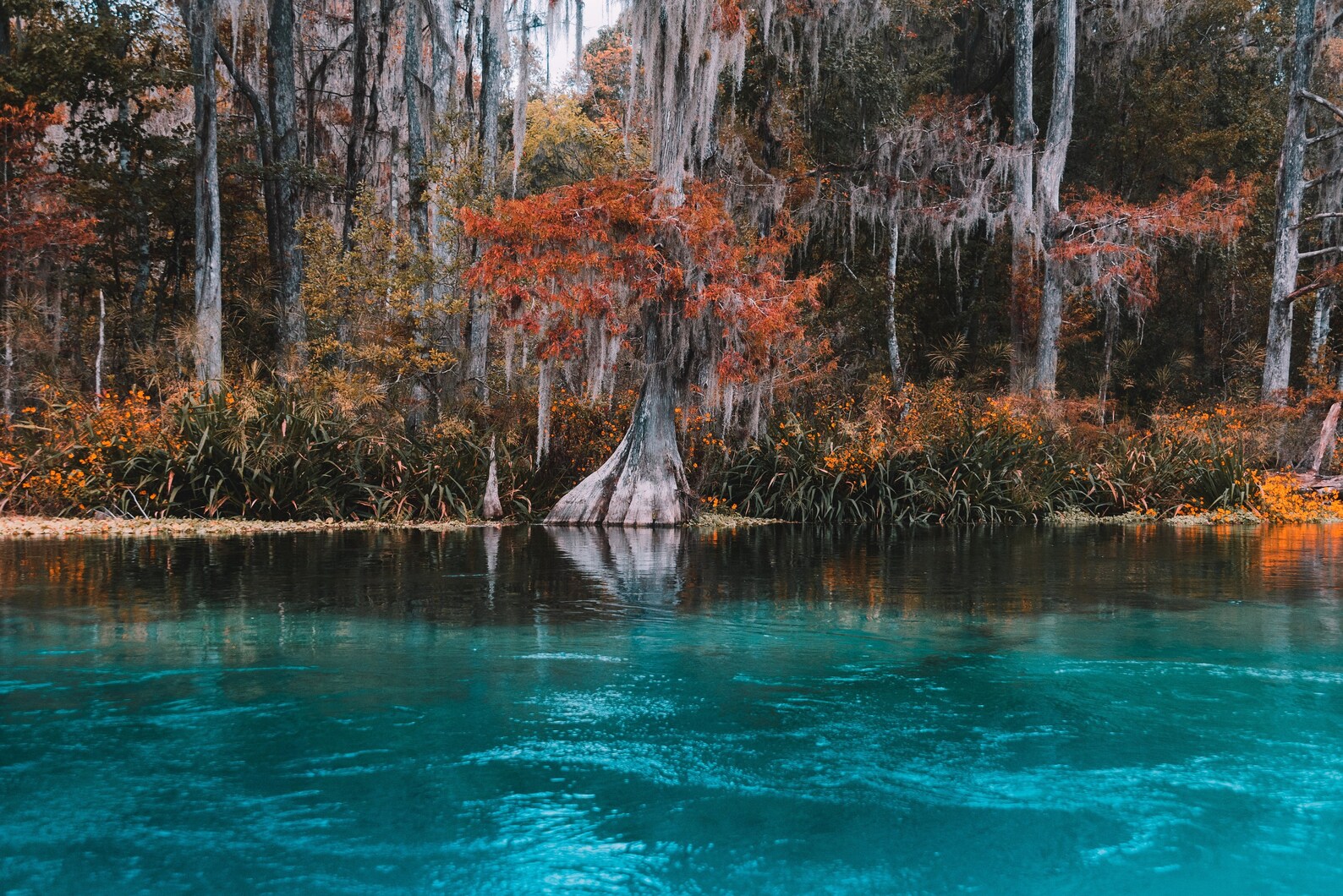 Ichetucknee River - Etsy
