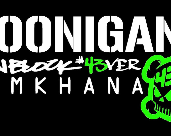 HOONIGAN KEN BLOCK 43VER - Etsy