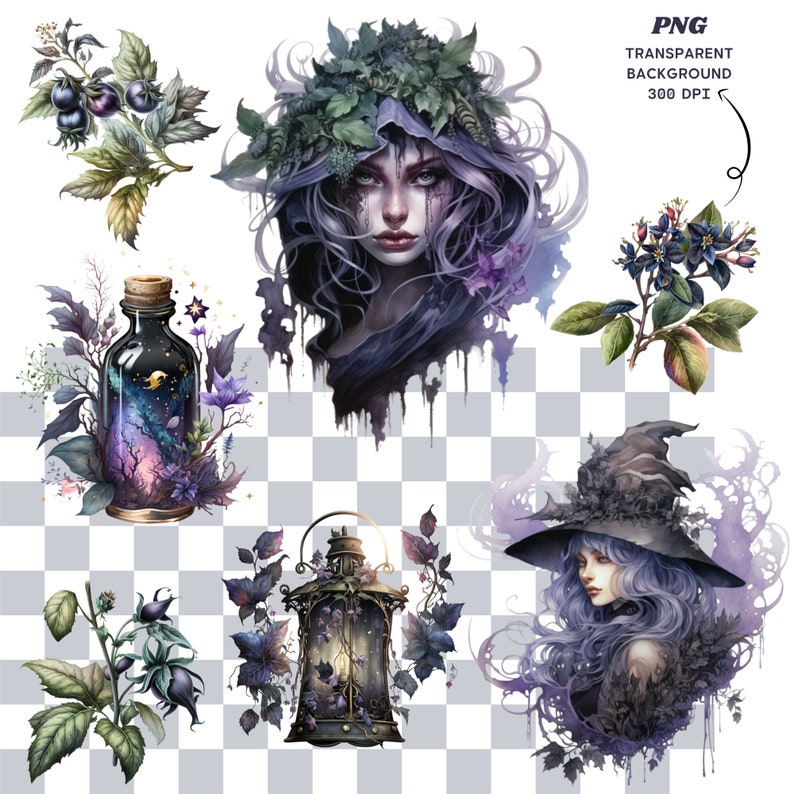 Nightshade Witch Clipart: Belladonna, Cauldron, Black Cat (PNG Digital ...