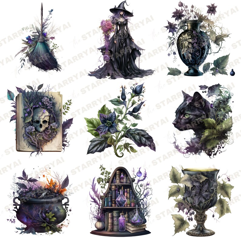 Nightshade Witch Clipart: Belladonna, Cauldron, Black Cat (PNG Digital ...
