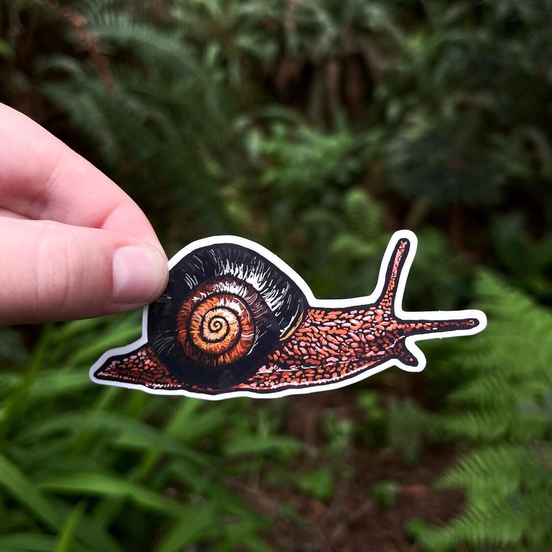 Redwood Sideband Snail Vinyl Sticker - Etsy