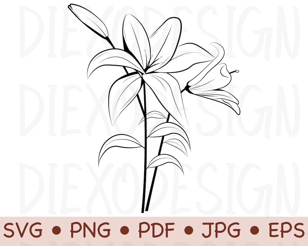 Lily PNG, Lily SVG, Stargazer Lily Clipart, Lily Design, Flower Black ...