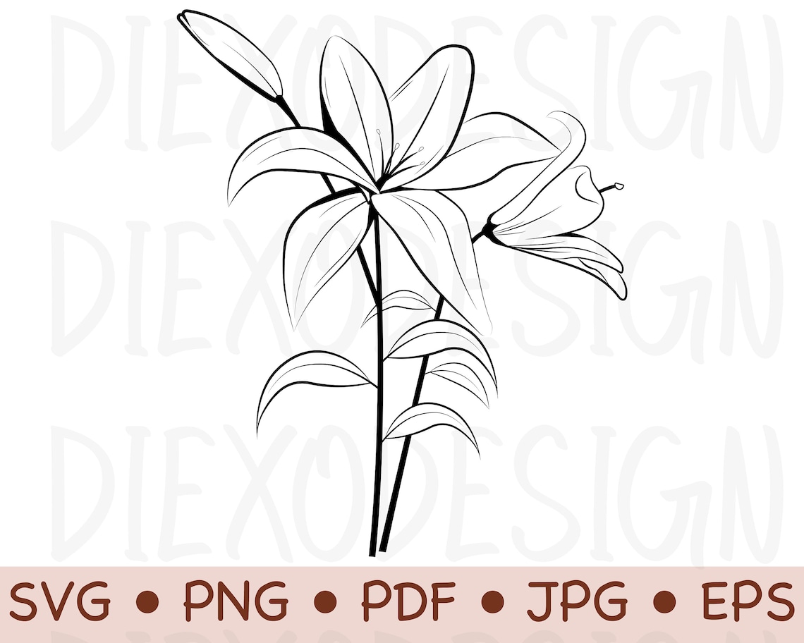 Lily PNG, Lily SVG, Stargazer Lily Clipart, Lily Design, Flower Black ...