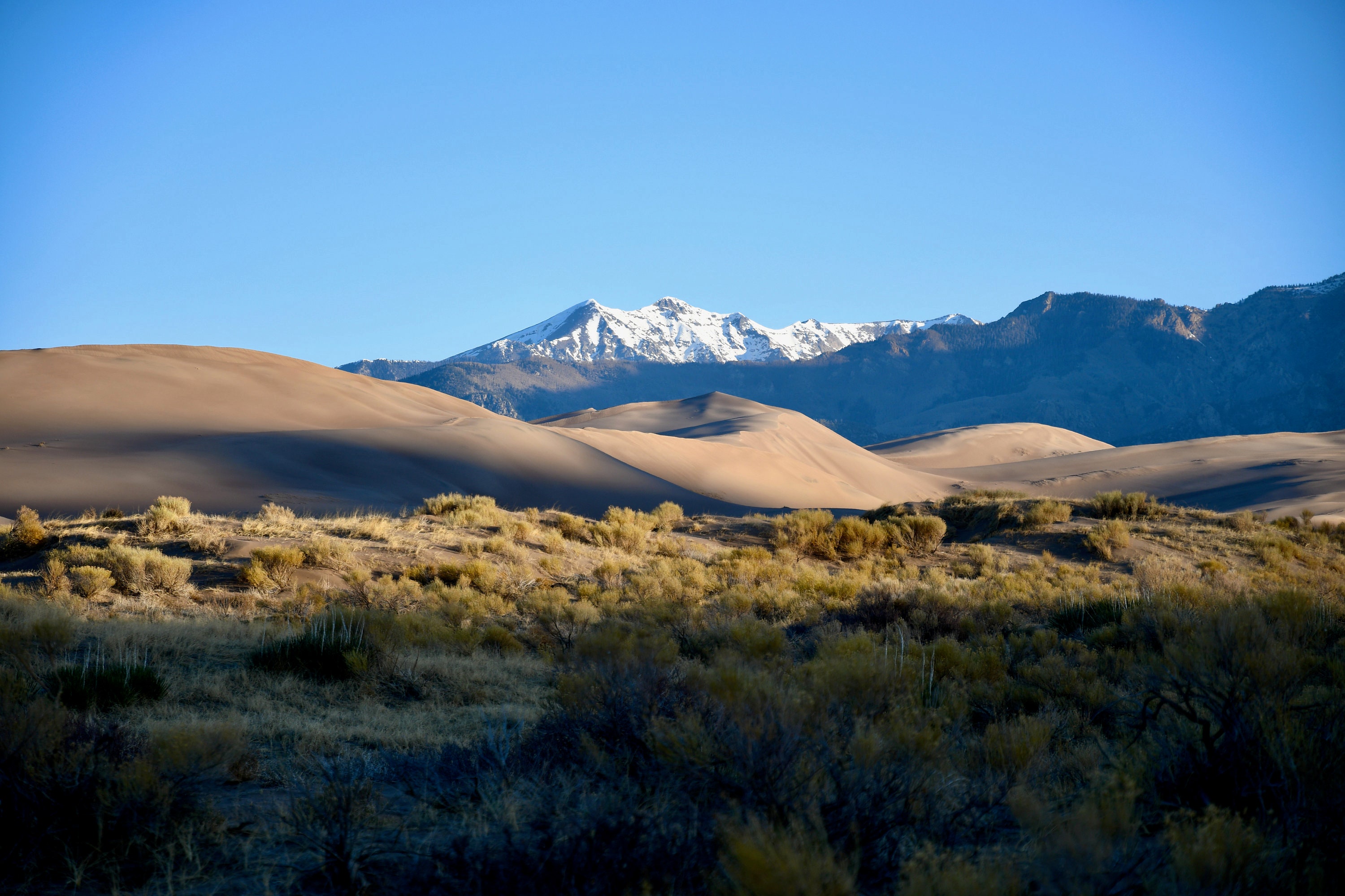 Sand and Snow, Great Sand Dunes National Park Canvas Photo Print - Etsy