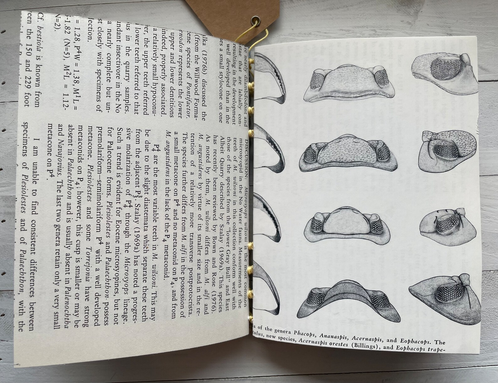 Vintage Geologic Map Handmade Field Journal Coptic Bound Notebook - Etsy