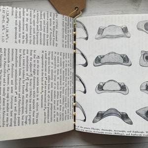 Vintage Geologic Map Handmade Field Journal Coptic Bound Notebook - Etsy