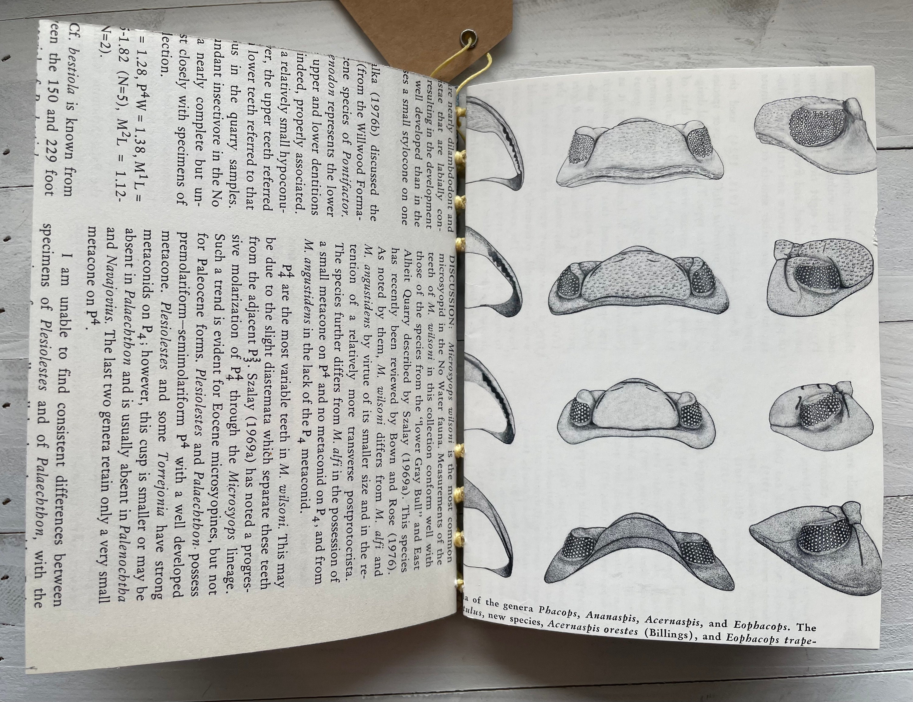 Vintage Geologic Map Handmade Field Journal Coptic Bound Notebook - Etsy