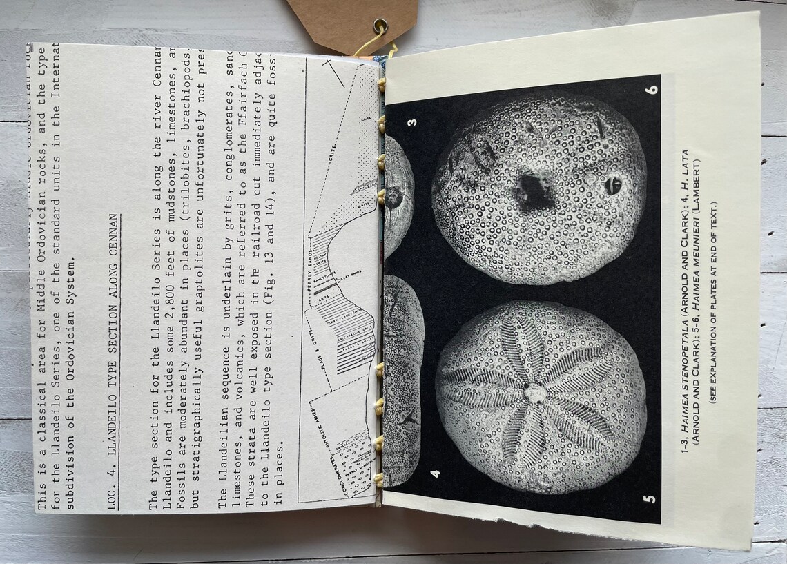 Vintage Geologic Map Handmade Field Journal Coptic Bound Notebook - Etsy