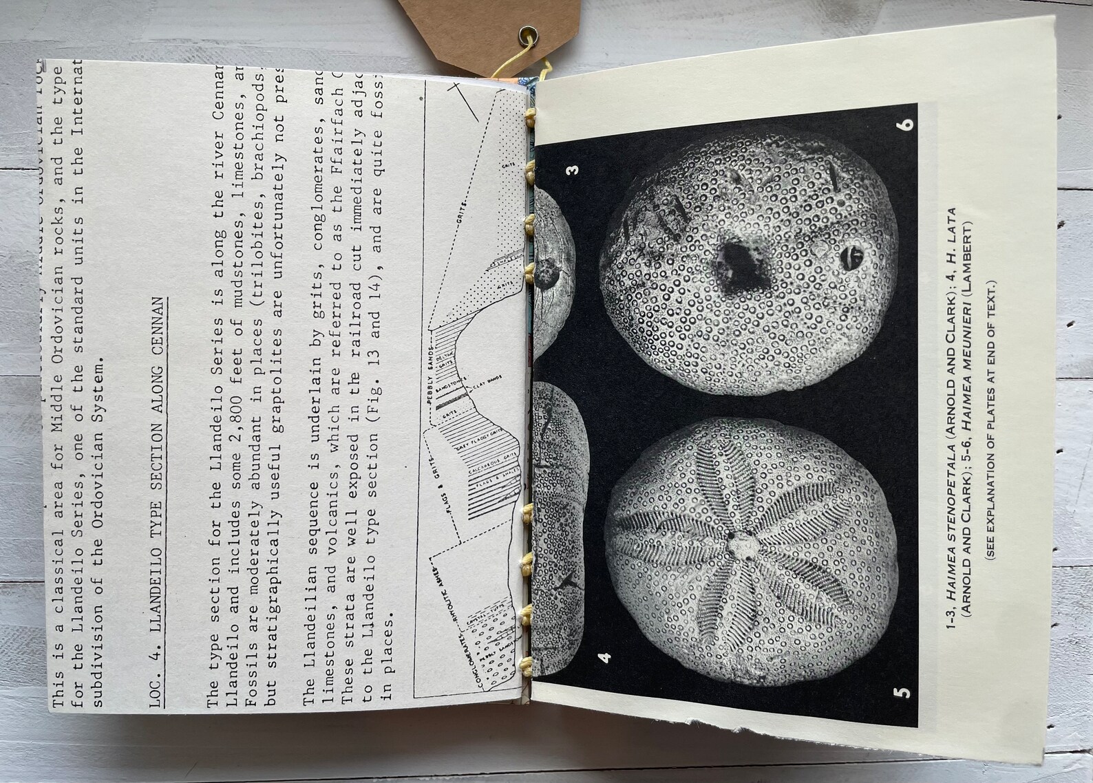 Vintage Geologic Map Handmade Field Journal Coptic Bound Notebook - Etsy