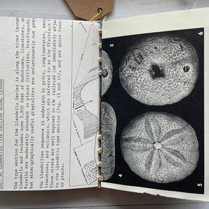 Vintage Geologic Map Handmade Field Journal Coptic Bound Notebook - Etsy