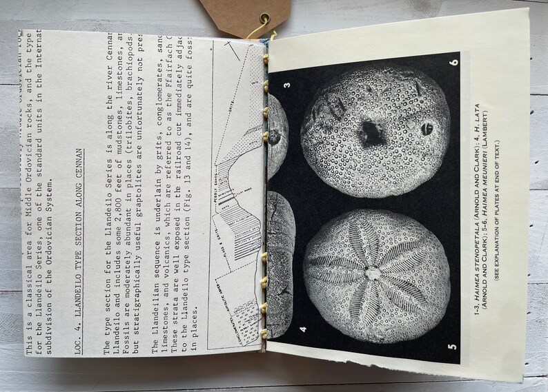 Vintage Geologic Map Handmade Field Journal Coptic Bound Notebook - Etsy