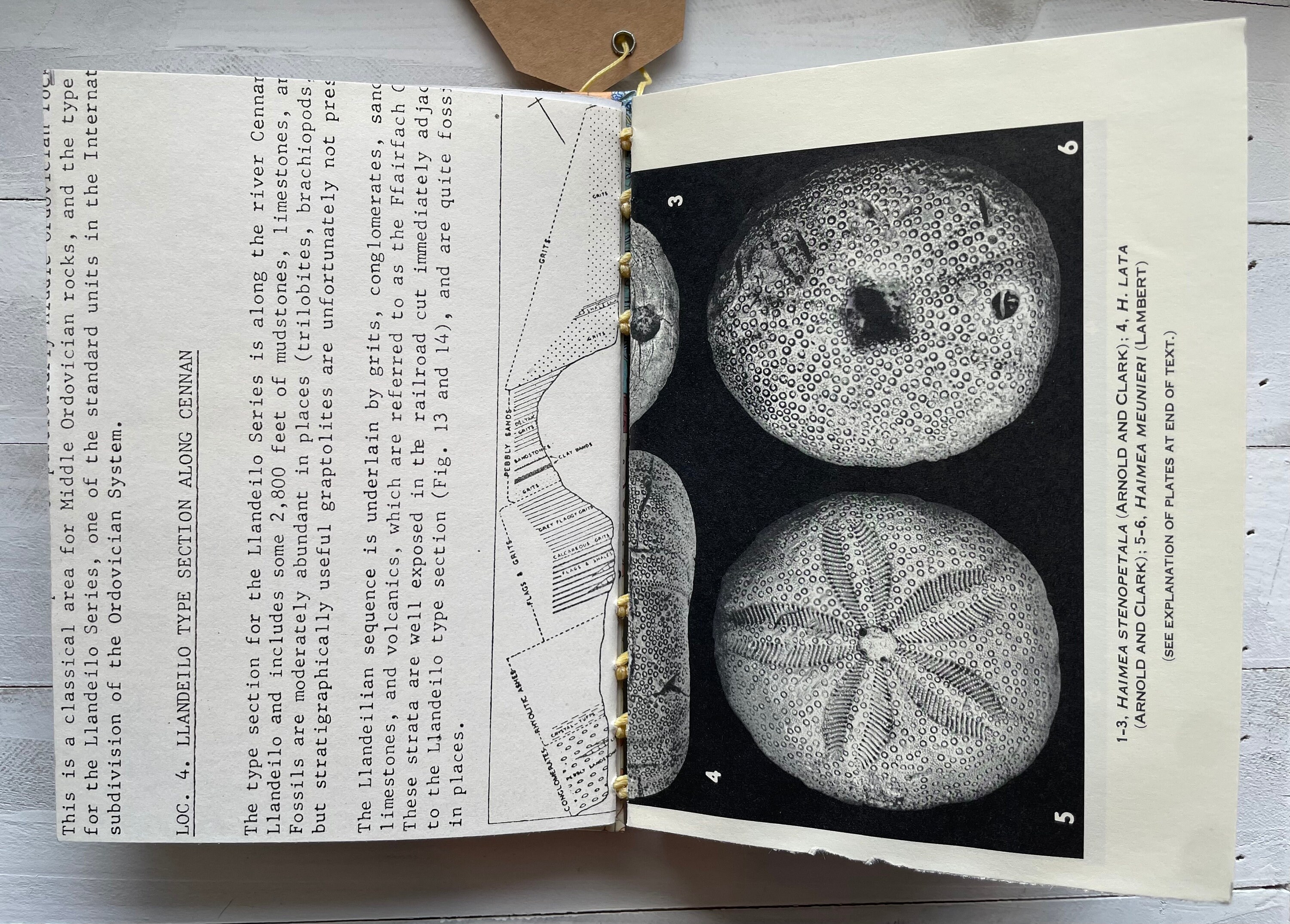 Vintage Geologic Map Handmade Field Journal Coptic Bound Notebook - Etsy