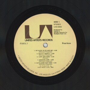 Fearless by Family Vinyl Record - Etsy