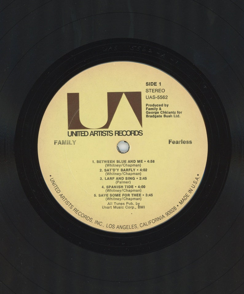 Fearless by Family Vinyl Record - Etsy