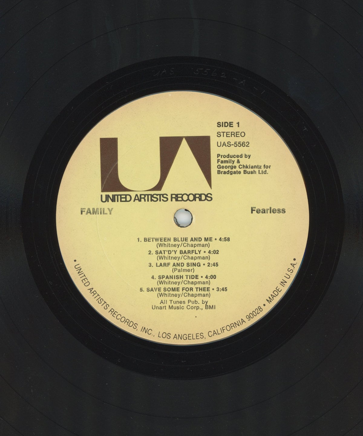 Fearless by Family Vinyl Record - Etsy