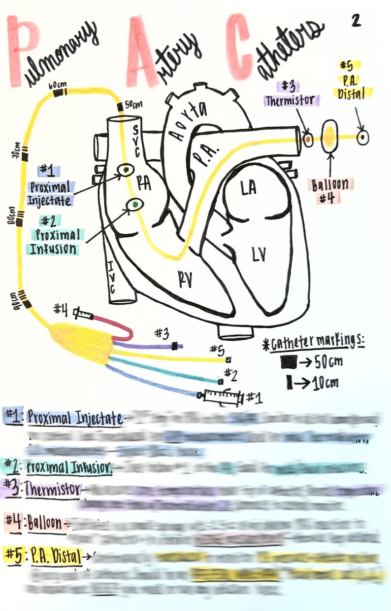 Hemodynamics/invasive Lines ICU BUNDLE DEAL Digital Download - Etsy
