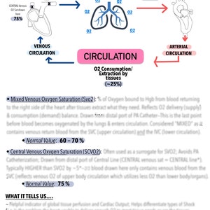 Mixed/central Venous O2 Saturation svo2/scvo2 Concept Map - Etsy