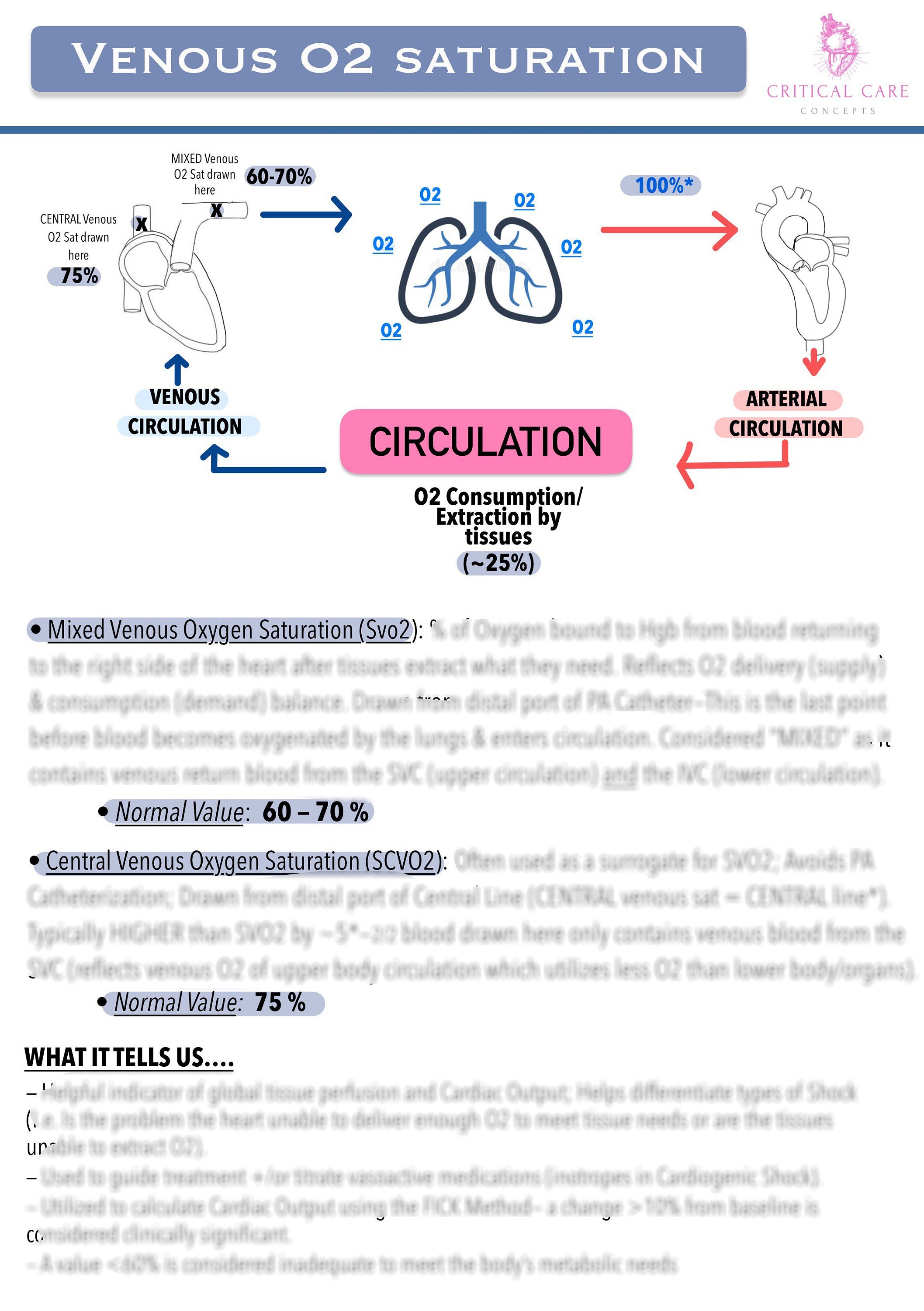 Mixed/central Venous O2 Saturation svo2/scvo2 Concept Map - Etsy