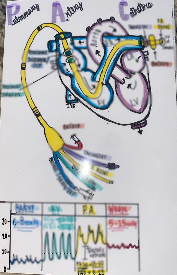 PA Catheter Ports & Waveforms ICU Nursing Concept Map | Etsy