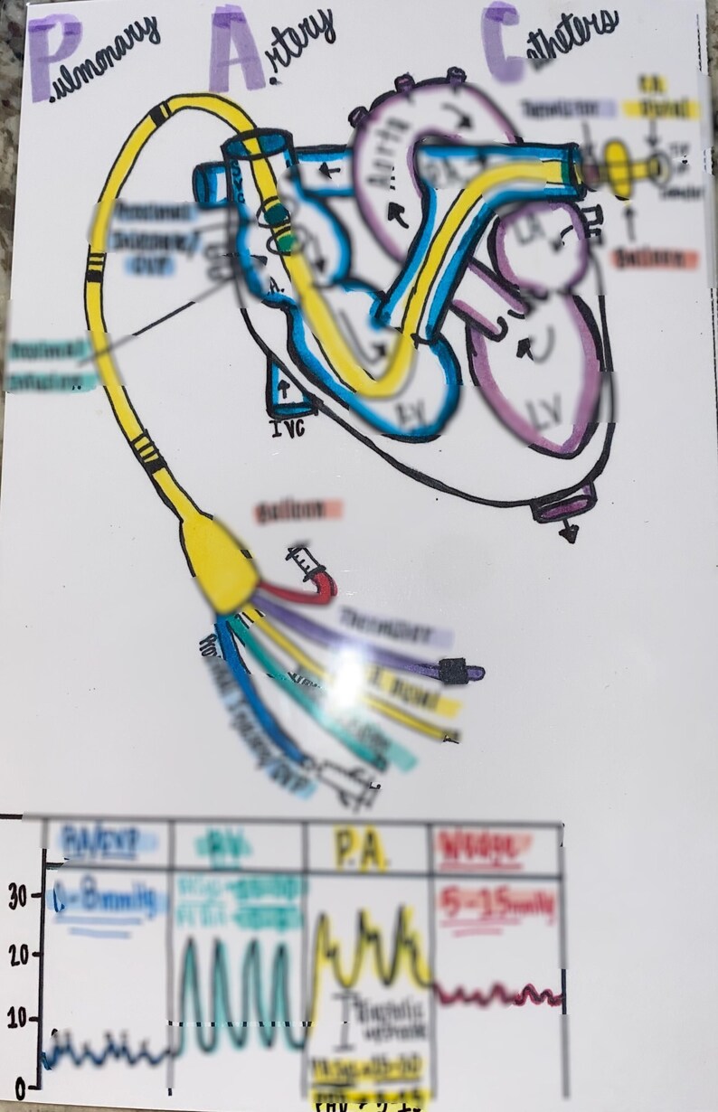 PA Catheter Ports & Waveforms ICU Nursing Concept Map | Etsy