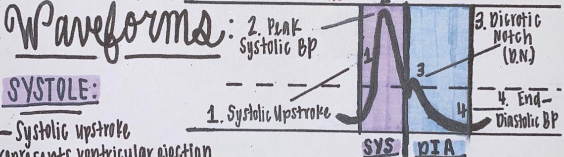 Arterial Line ICU Nurse Reference Sheet - Etsy
