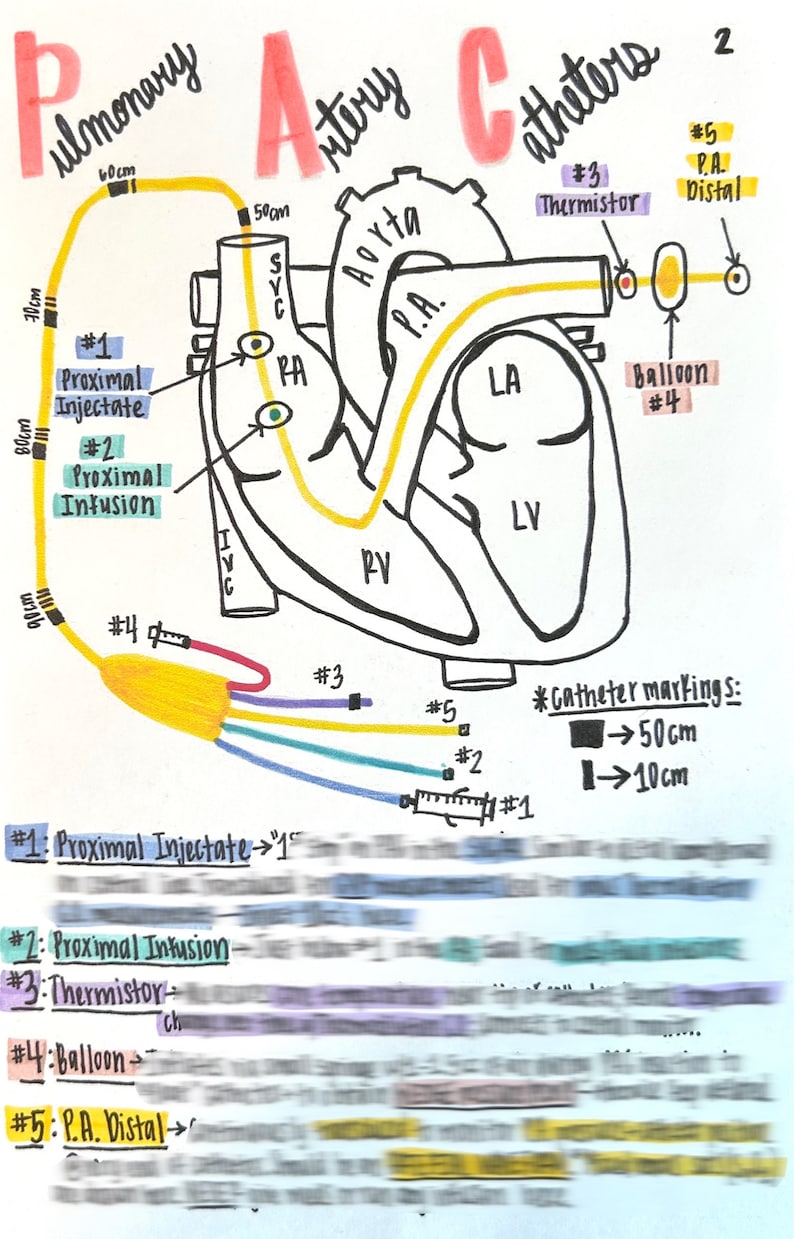 PA Catheter Ports & Waveforms ICU Nursing Concept Map - Etsy