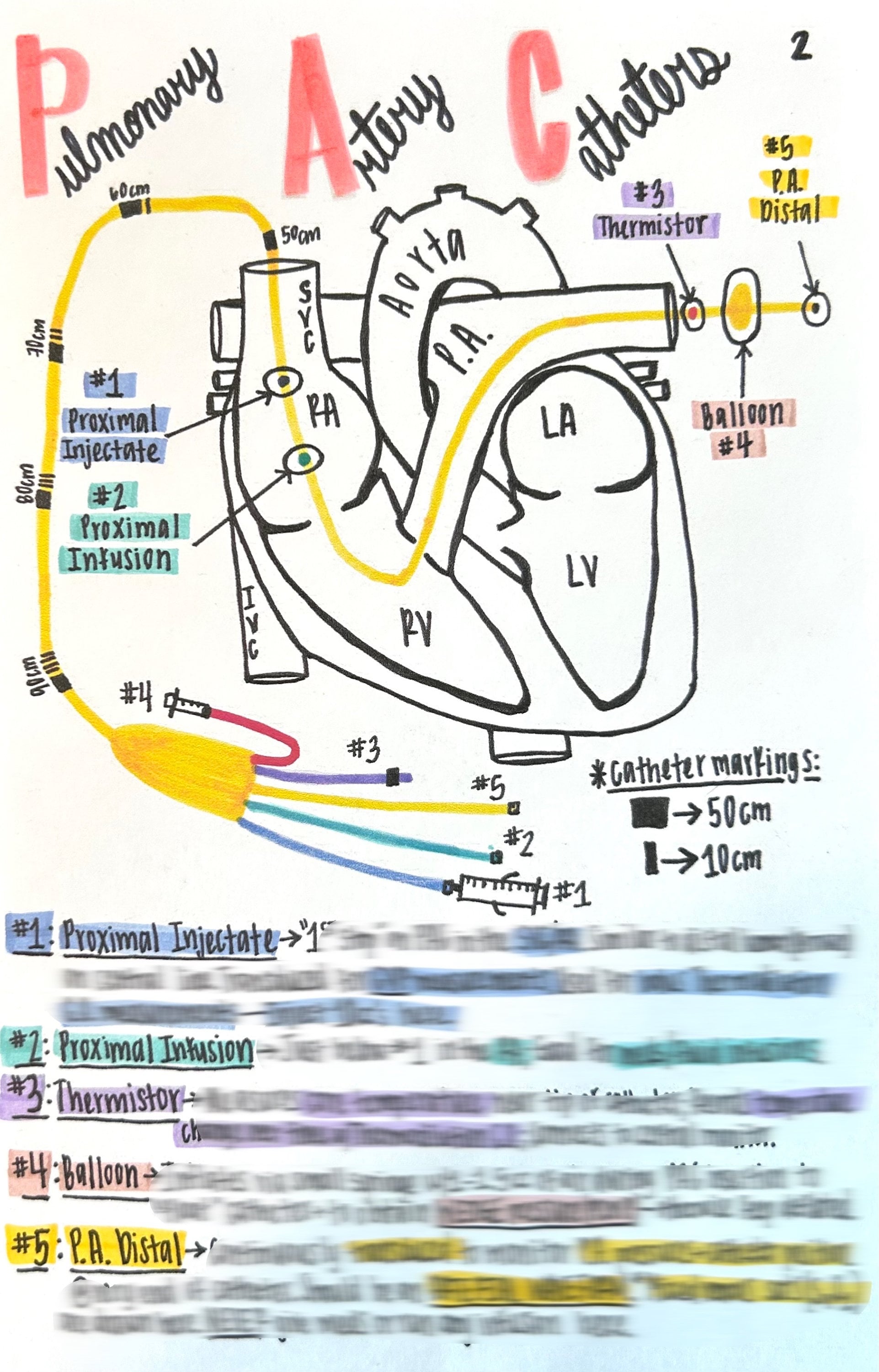 PA Catheter Ports & Waveforms ICU Nursing Concept Map - Etsy