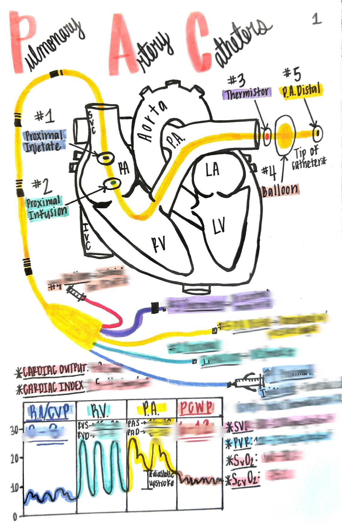 Hemodynamics/invasive Lines ICU BUNDLE DEAL Digital Download - Etsy
