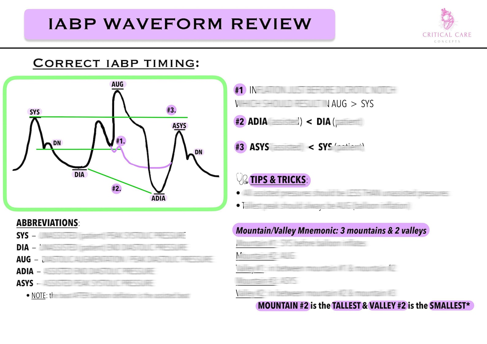 IABP Waveform & Timing Errors ICU Nurse Reference Sheet - Etsy