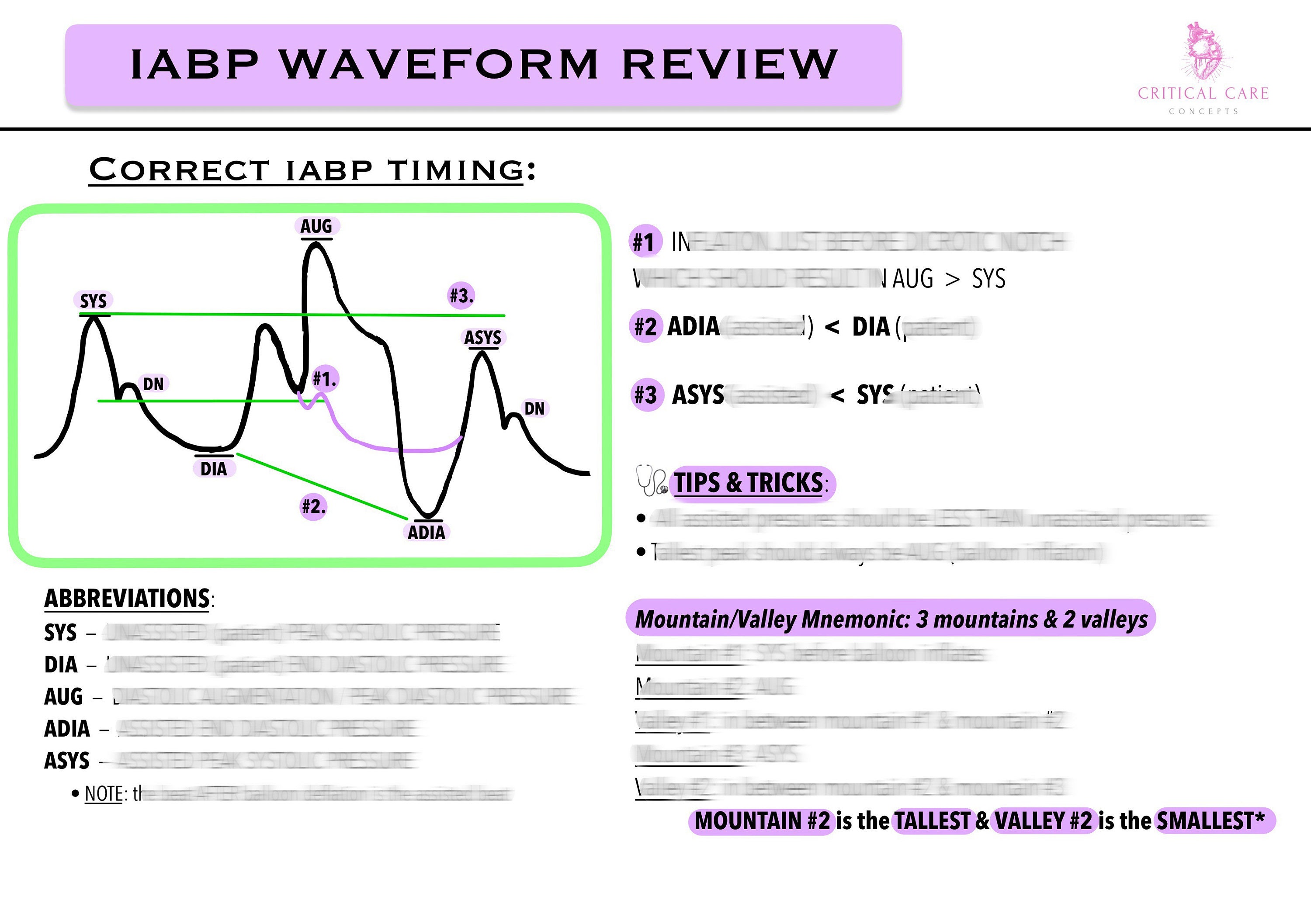 Iabp Waveform And Timing Errors Icu Nurse Reference Sheet Etsy