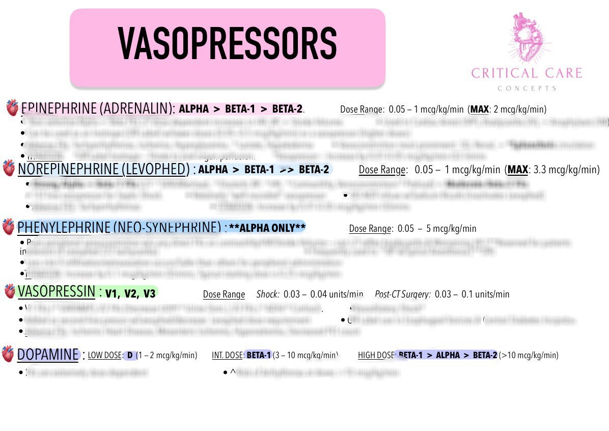 Vasopressor Reference Sheet/concept Map for ICU Nurses - Etsy