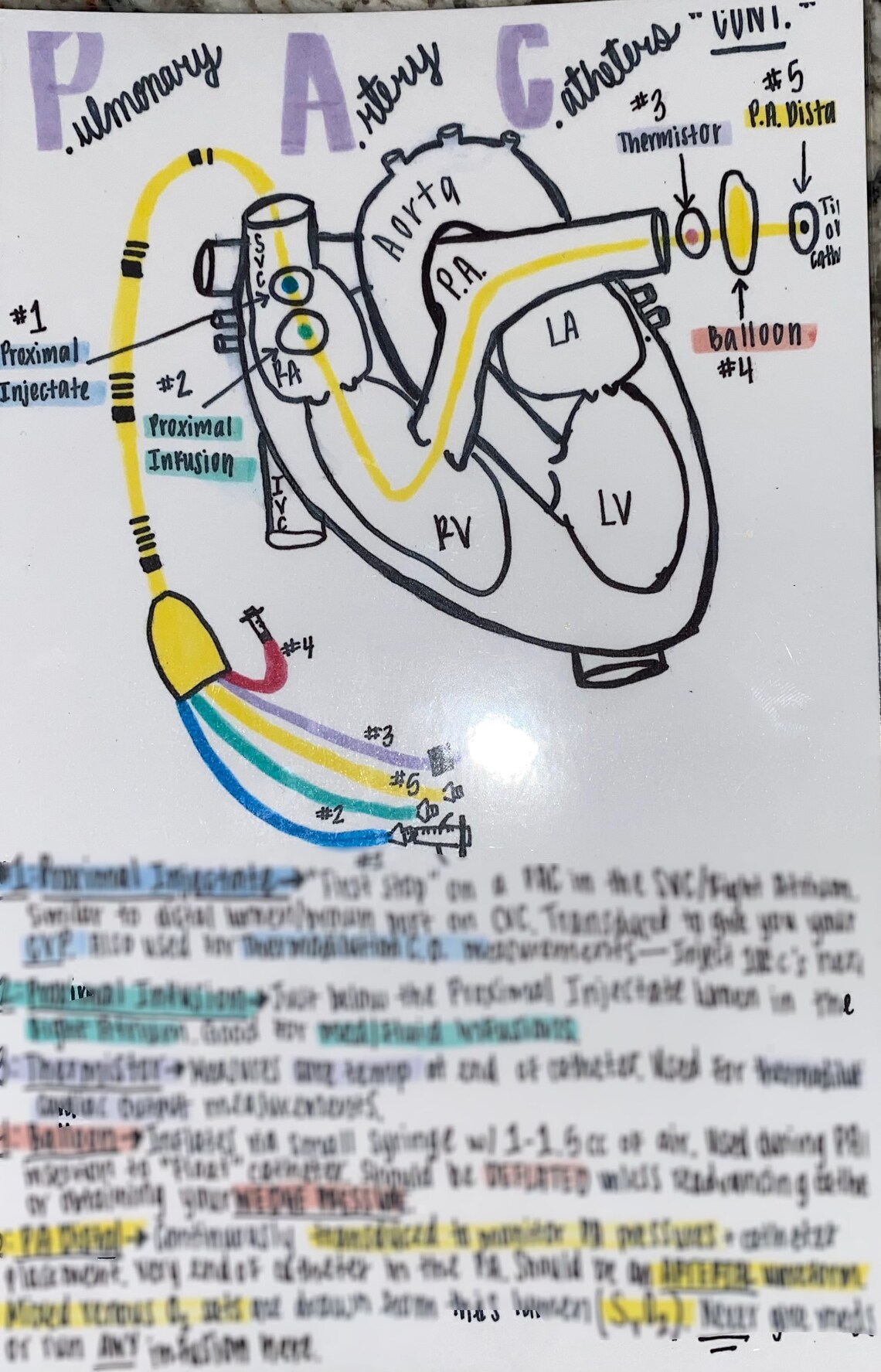 PA Catheter Ports & Waveforms ICU Nursing Concept Map | Etsy